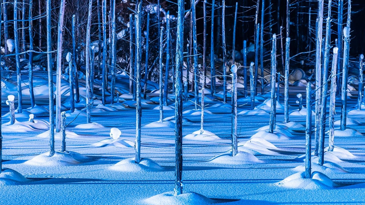 AI Winters: Cycles of Boom and Bust in Artificial Intelligence